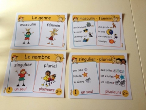 Le genre et le nombre – L'Indispensable