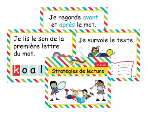 Stratégies de lecture 1er cycle – L'Indispensable